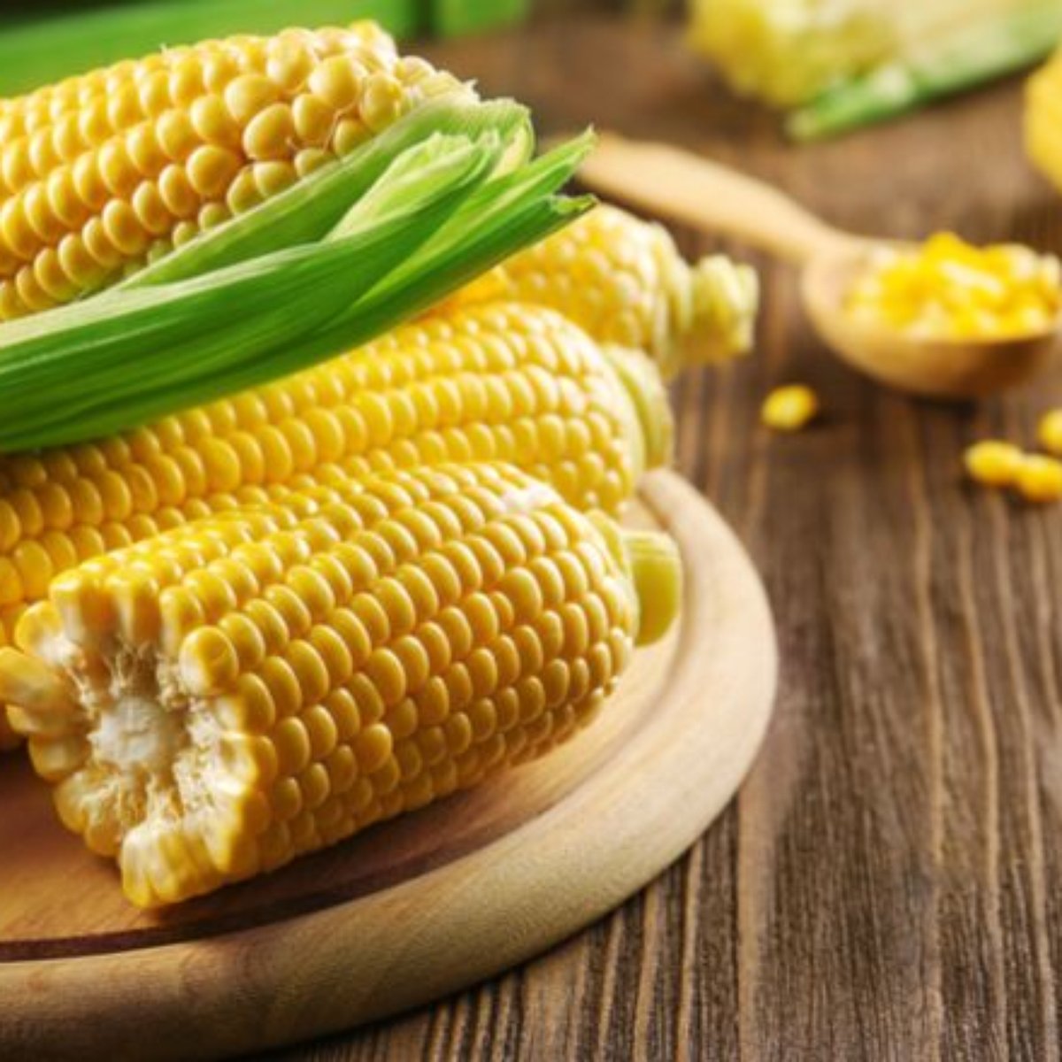 Milho vai além da pipoca e alimenta a economia do país - Comerciagro